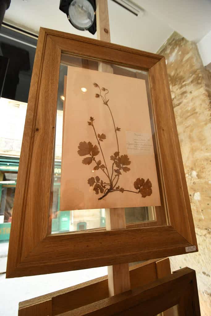 Joe Sayegh ouvre son premier magasin à Paris