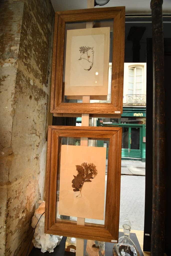 Joe Sayegh ouvre son premier magasin à Paris