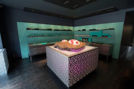 Patrick Roger: stores and an exceptional customer experience