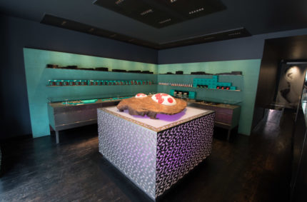 Patrick Roger: stores and an exceptional customer experience