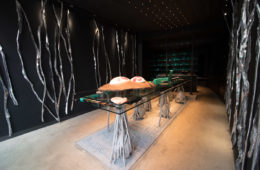 Patrick Roger: stores and an exceptional customer experience